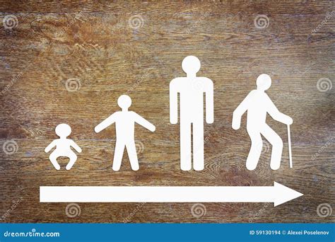 Different Stages Of Human Life Stock Illustration Image 59130194