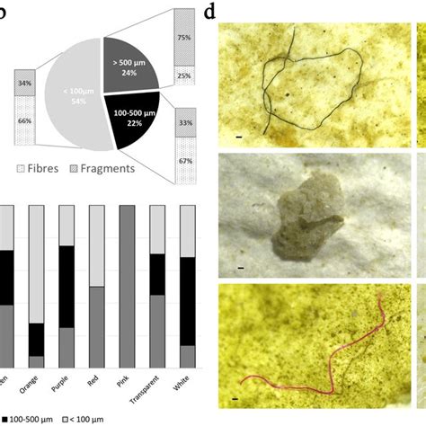 Sem Edx Images And Microanalysis From Canonical Microplastic Sem