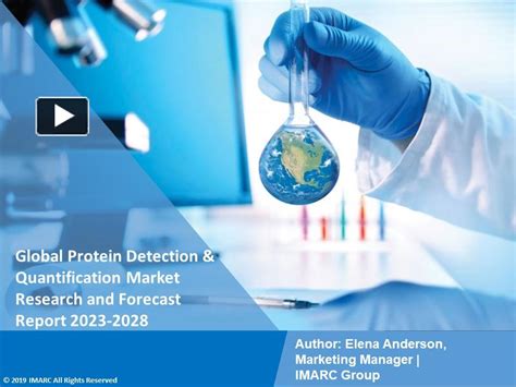 Protein Detection And Quantification Market Growth Demand And Challenges Of The Key Industry