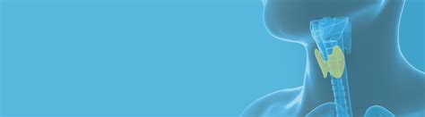 Parathyroid Disease And Hyperparathyroidism Hypercalcemia Saint