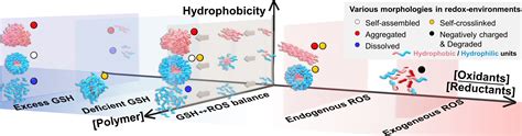 Controlling Morphologies Of Redox‐responsive Polymeric Nanocarriers For A Smart Drug Delivery