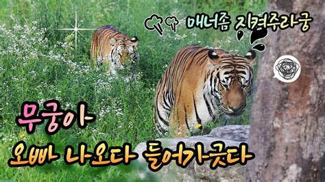 2024731 이쁘게 낮잠잘자고 사이좋게 장난도 치고 ~♡ Youtube