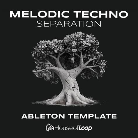 Separation Template House Of Loop