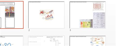 Osmoregulation Nephron Adh Teaching Resources