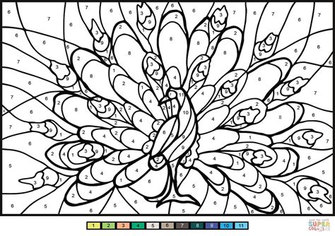 Peacock Color By Number Free Printable Coloring Pages