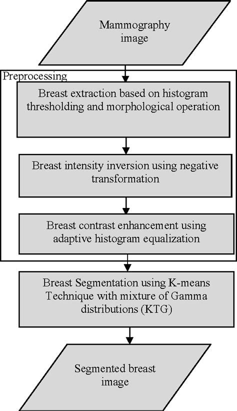 Figure 2 From Breast Segmentation Using K Means Algorithm With A Mixture Of Gamma Distributions