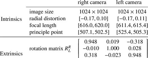 Intrinsics And Extrinsics Of The Stereo Camera Download Scientific Diagram