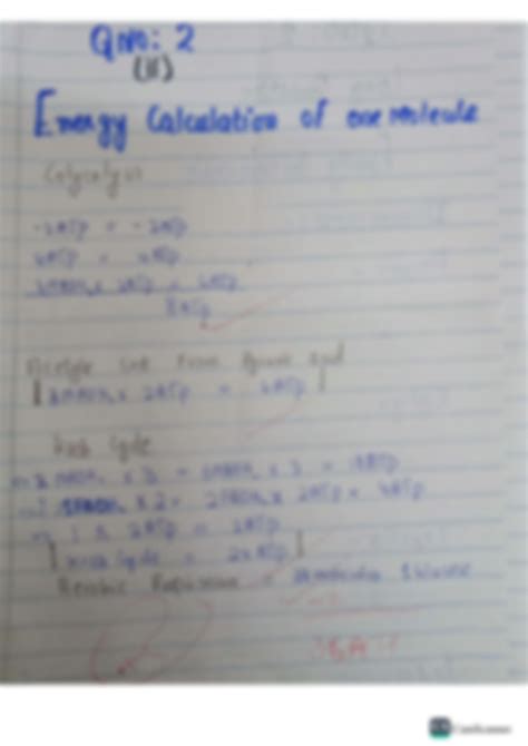 SOLUTION Science Flowchart Of Glycolysis Studypool