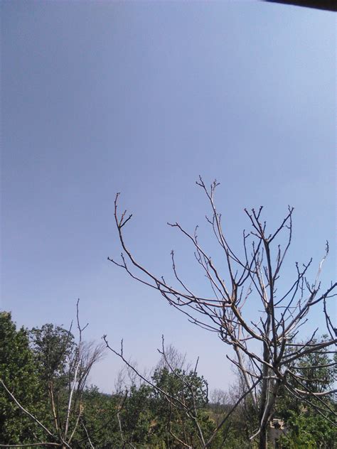 آسمون هنر عکاسیم لایک کن عکس ویسگون