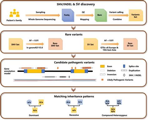 Whole Genome Sequencing Enables New Genetic Diagnosis For Inherited Retinal Diseases By