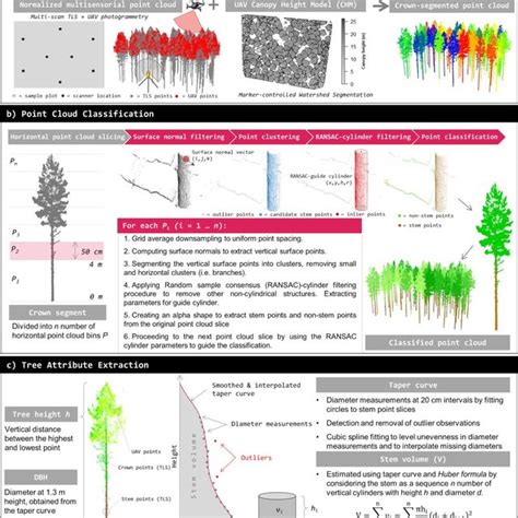 Outline Of The Point Cloud Processing Method A Canopy Segmentation Download Scientific