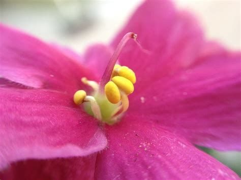 Must Reads Rough Sex Romance And Racism Addiction Craniotomy Ink Global Comment