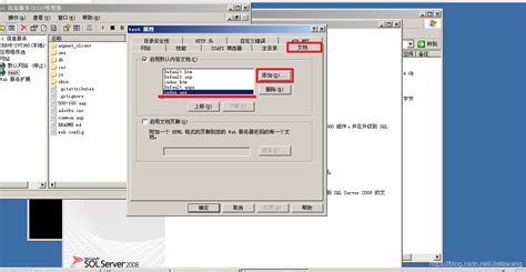 详细的web环境搭建 Iisaspaspxaccesssqlserver环境iis Asp Access Csdn博客