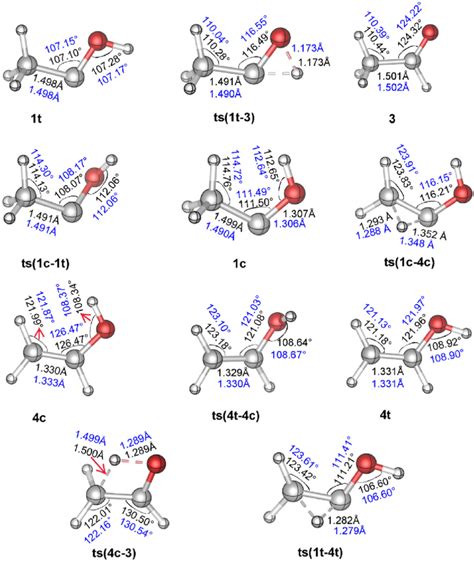 Optimized Geometries Of Stationary Points On The Fi Nn Pess Compared