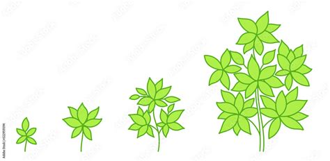 Tree Growth Stages Development Stage Animation Progression Green Colour Vector Eco