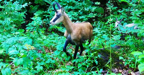 Undp Georgia 🙋‍♀️🙋‍♂️ ვაგრძელებთ აქტიური და მოტივირებული ახალგაზრდების ხელშეწყობას საქართველოს
