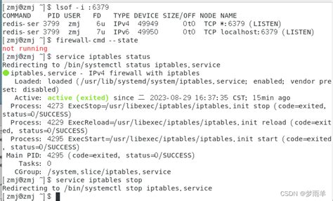 黑马点评环境搭建导入黑马店评项目配置 Csdn博客