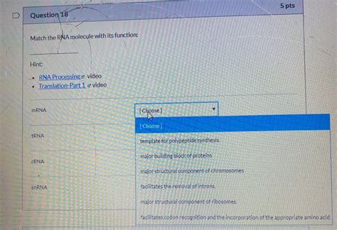 Solved Match The RNA Molecule With Its Function Hint RNA Chegg Com