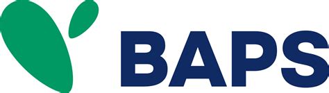 Baps Presenta Il Nuovo Logo — Mediatrends