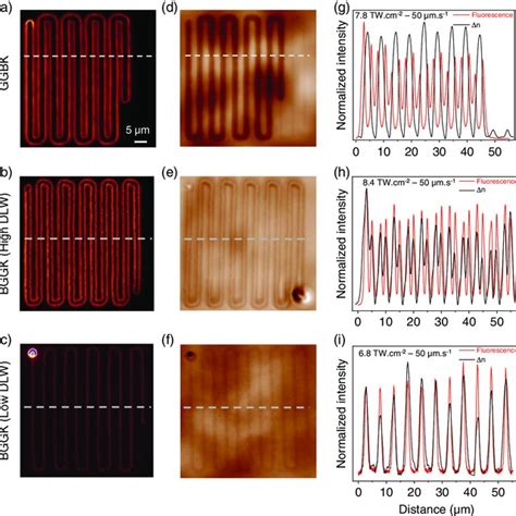 High‐resolution Imaging Of Both Confocal Fluorescence And Phase Download Scientific Diagram