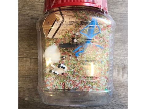 I Spy Passover Plague Activity With Love Ima Artofit