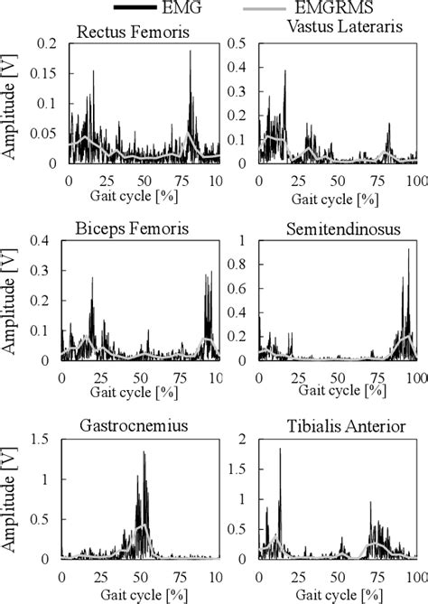 Figure 3 From Muscle Force Estimation During Gait Using Angleemgforce Relationship Semantic