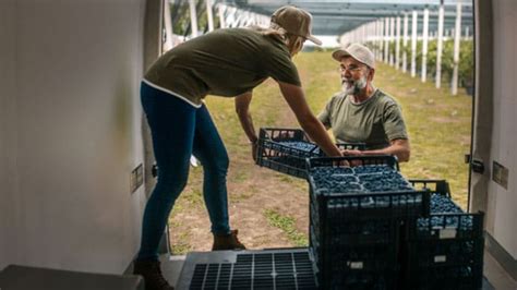 Cold Chain Logistics For Perishables Maersk