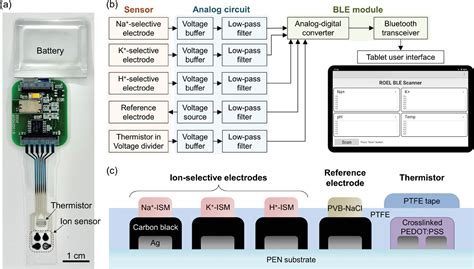 Temperature Correction Of Printed Na K And Ph Sensors With Pedotpss‐based Thermistors