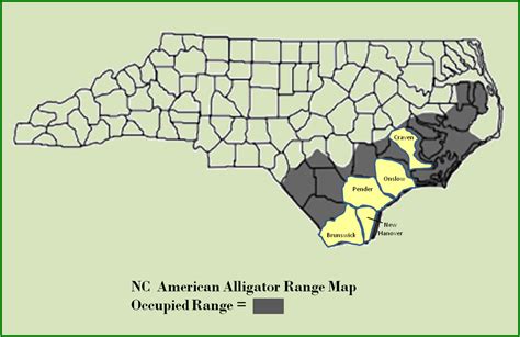 American Alligator Habitat Map