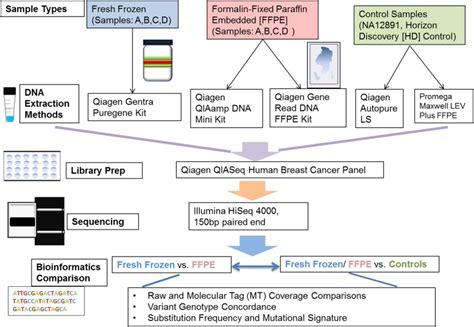 Bioinformatics And Dna Extraction Strategies To Reliably Detect Genetic Variants From Ffpe