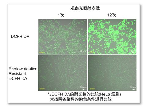 Ros 日本同仁化学 Dojindo代理商