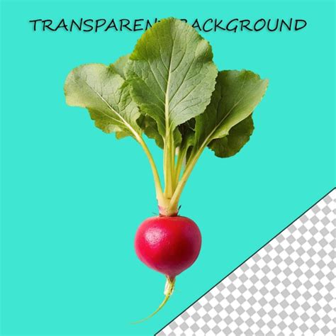 Premium Psd Image Of Beetroot