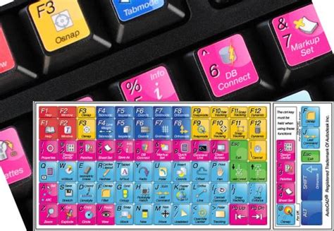 New Autodesk Autocad Labels Decals For Keyboard Laminated Want It All