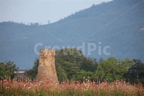 풍경 들판 들꽃 첨성대 경주 사진 이미지 일러스트 캘리그라피 일상을 낯설게작가