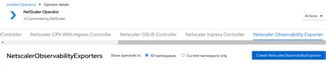 Deploy Netscaler Observability Exporter Nsoe By Using Netscaler Operator
