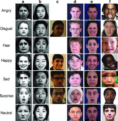 Sample Of Images From A Ck B Jaffe C Ised D Mmi E Mug And F Web Download Scientific Diagram