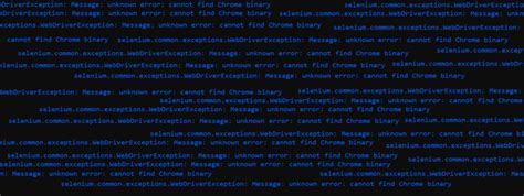 Fix Seleniums “cannot Find Chrome Binary” Error The Computer Noob