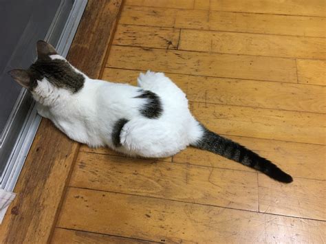 Swift で Nsdata Data 型への変換 僕はノマドを証明しようと思う。