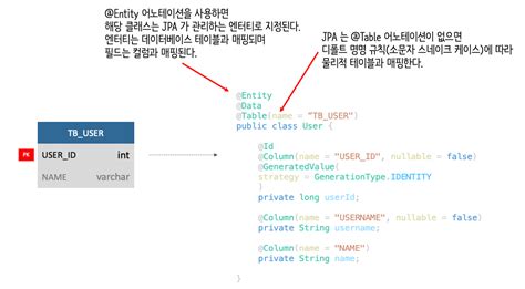 한국에서 sw 개발자로 산다는것 코딩 spring data jpa 엔터티 매핑