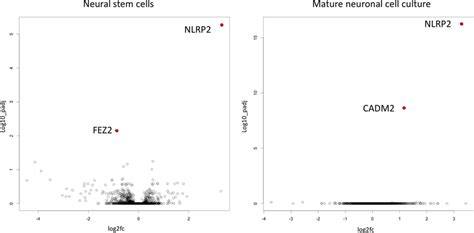Volcano Plots Of Protein Expression The Volcano Plot Shows How The Download Scientific Diagram