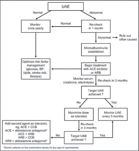 Identification And Management Of Albuminuria In The Primary Care