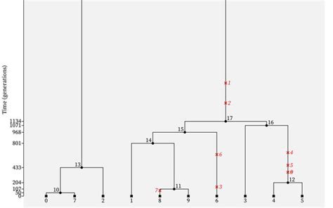 Coalescent Theory Kevin R Thornton Observable