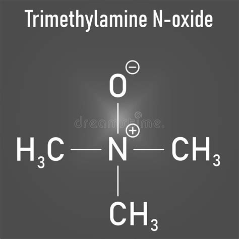 Trimethylamine Lewis Structure