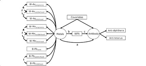 Hypothesized Structural Equation Model For The Association Between