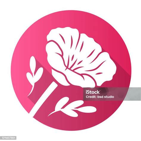 캘리포니아 양귀비 핑크 플랫 디자인 긴 그림자 문양 아이콘입니다 파파버 로아스 옥수수 장미 꽃 야생화 초본 식물 필드 일반적인 양귀비 여름 꽃입니다 벡터 실루엣