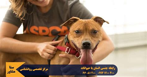 رابطه جنسی با حیواناتدلایل و عوامل رابطه با حیواناتسکس انسان با حیوان