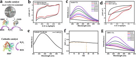 A The Anodic And Cathodic Catalysts Of The Gbfc B The Cv Curves Of