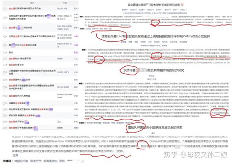 白芸豆瘦身真的可以吗有什么科学依据吗 知乎