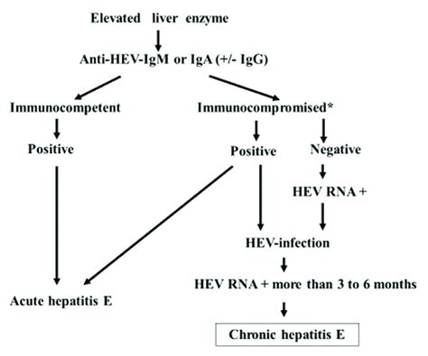 Diagnostic Procedure Of Hepatitis E The Initial Approach For