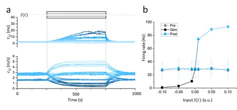 Bidirectional Control Of Conduction Velocities And Delays By Transient